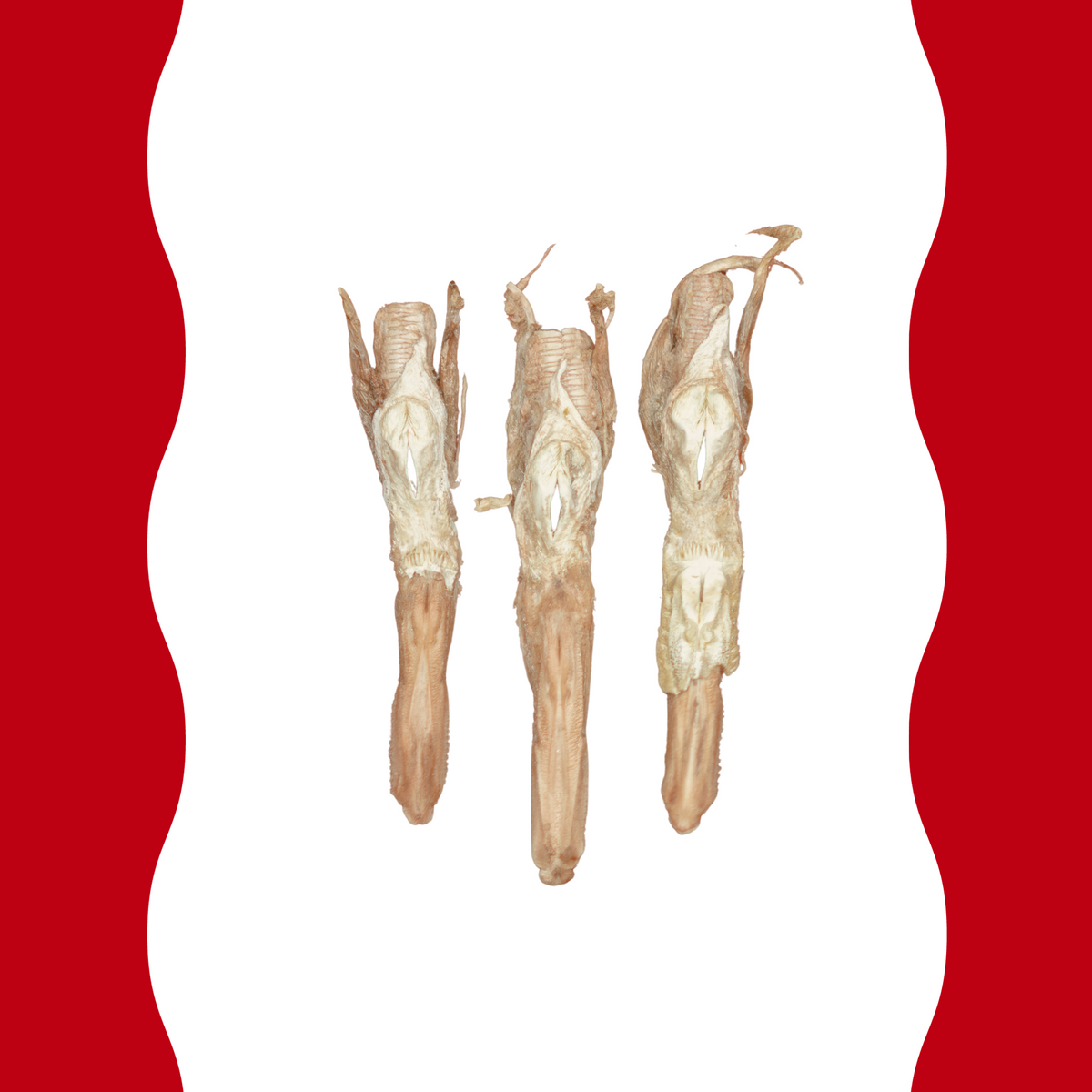 Duck Tongue – Pawspiracy